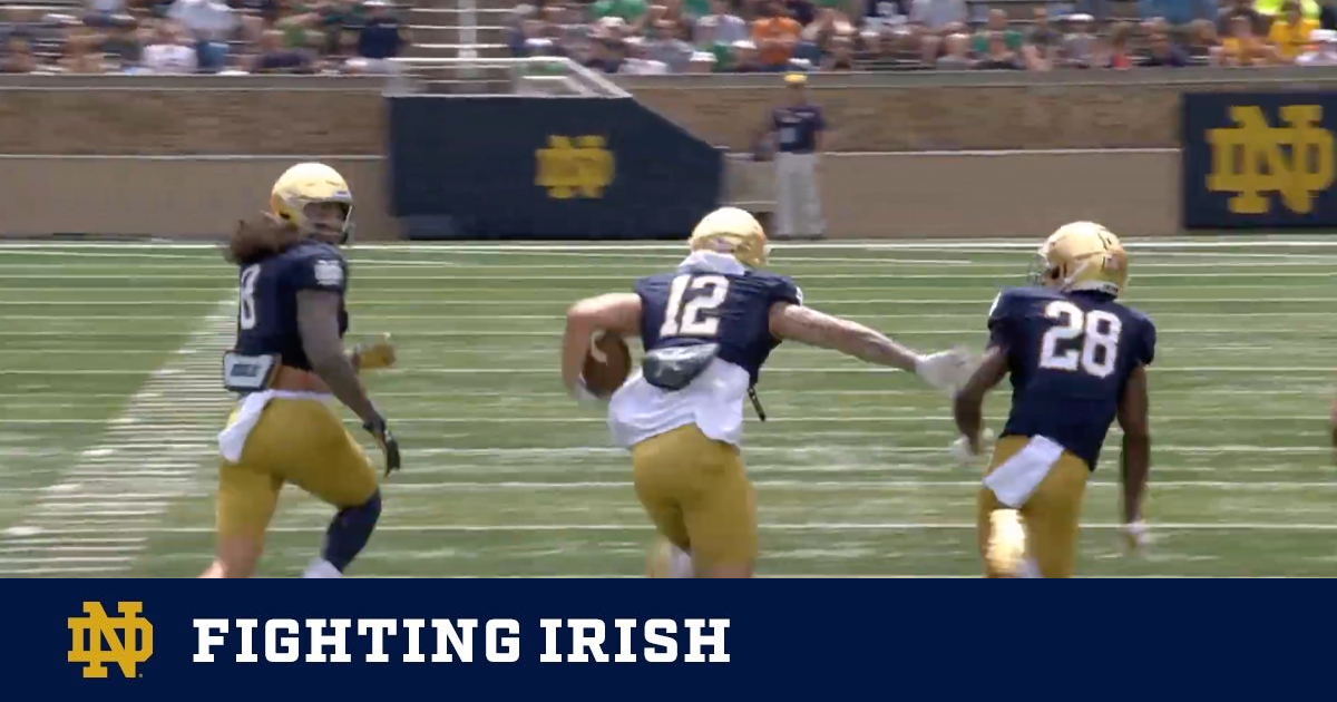 2022 Blue-Gold Game: Jordan Botelho Interception – Notre Dame Fighting ...