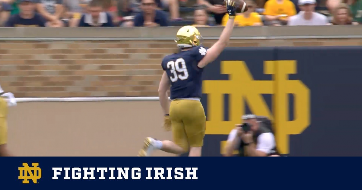 2022 Blue-Gold Game: Andrew Yanoshak Touchdown – Notre Dame Fighting ...