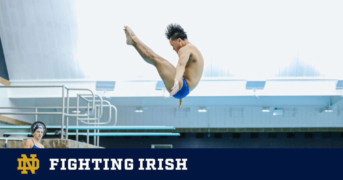 Three Irish Divers Set To Compete At Badger Invite – Notre Dame ...