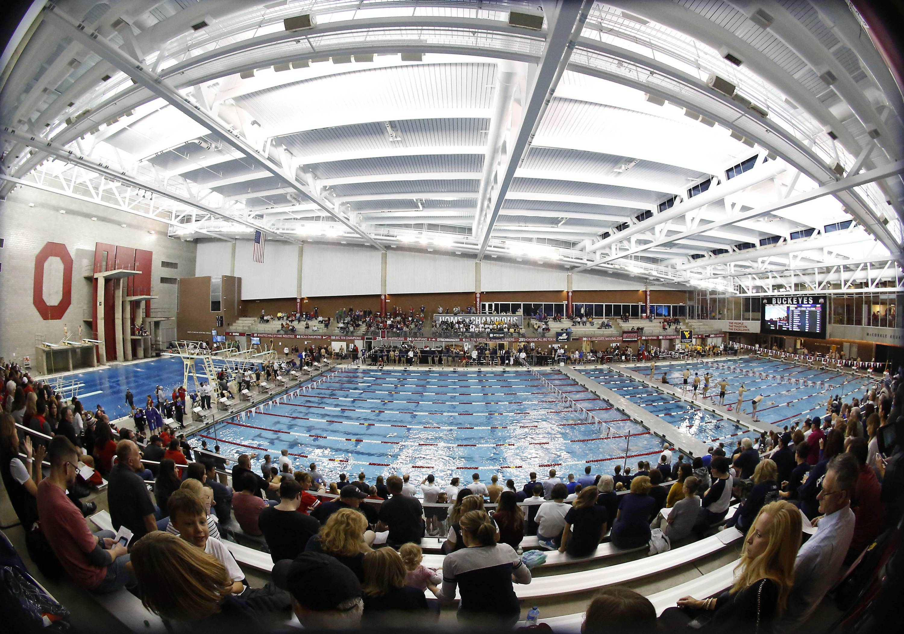 ND Swimming & Diving at Ohio State Invitational (USATSI) – Notre Dame ...