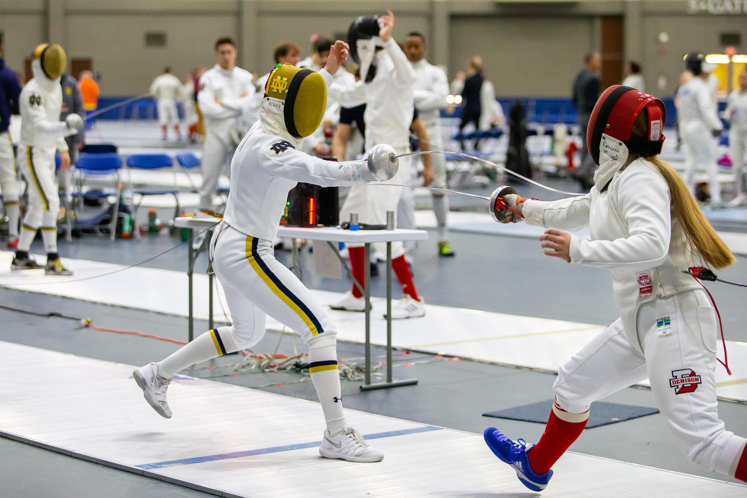 University of Notre Dame Athletics | Fighting Irish | Castellan Family ...