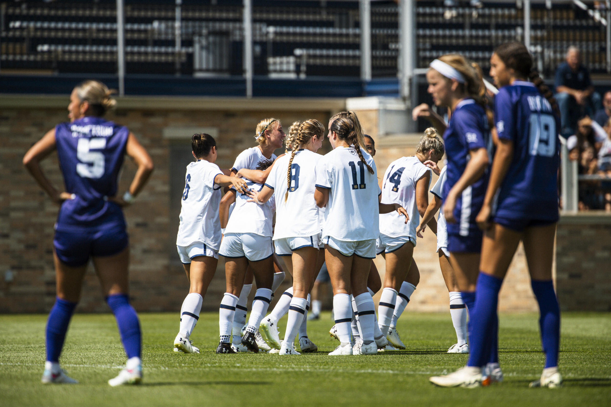 #14 Irish Leap Past #13 Horned Frogs, 4-0 – Notre Dame Fighting Irish ...
