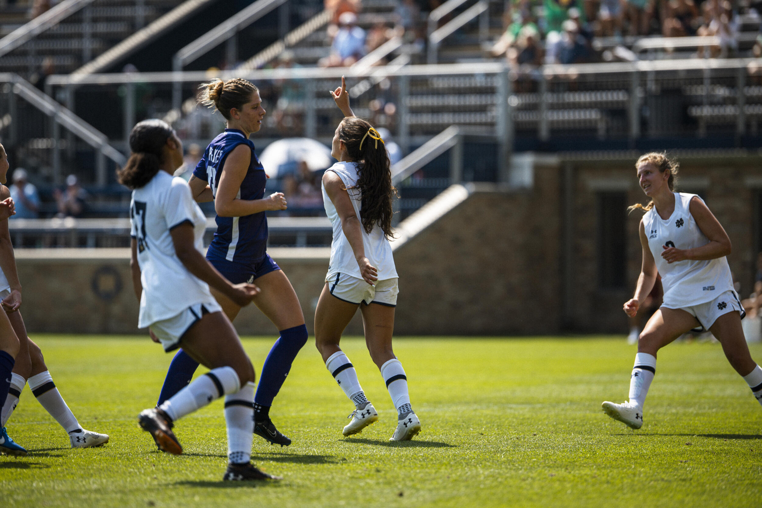 #14 Irish Leap Past #13 Horned Frogs, 4-0 – Notre Dame Fighting Irish ...