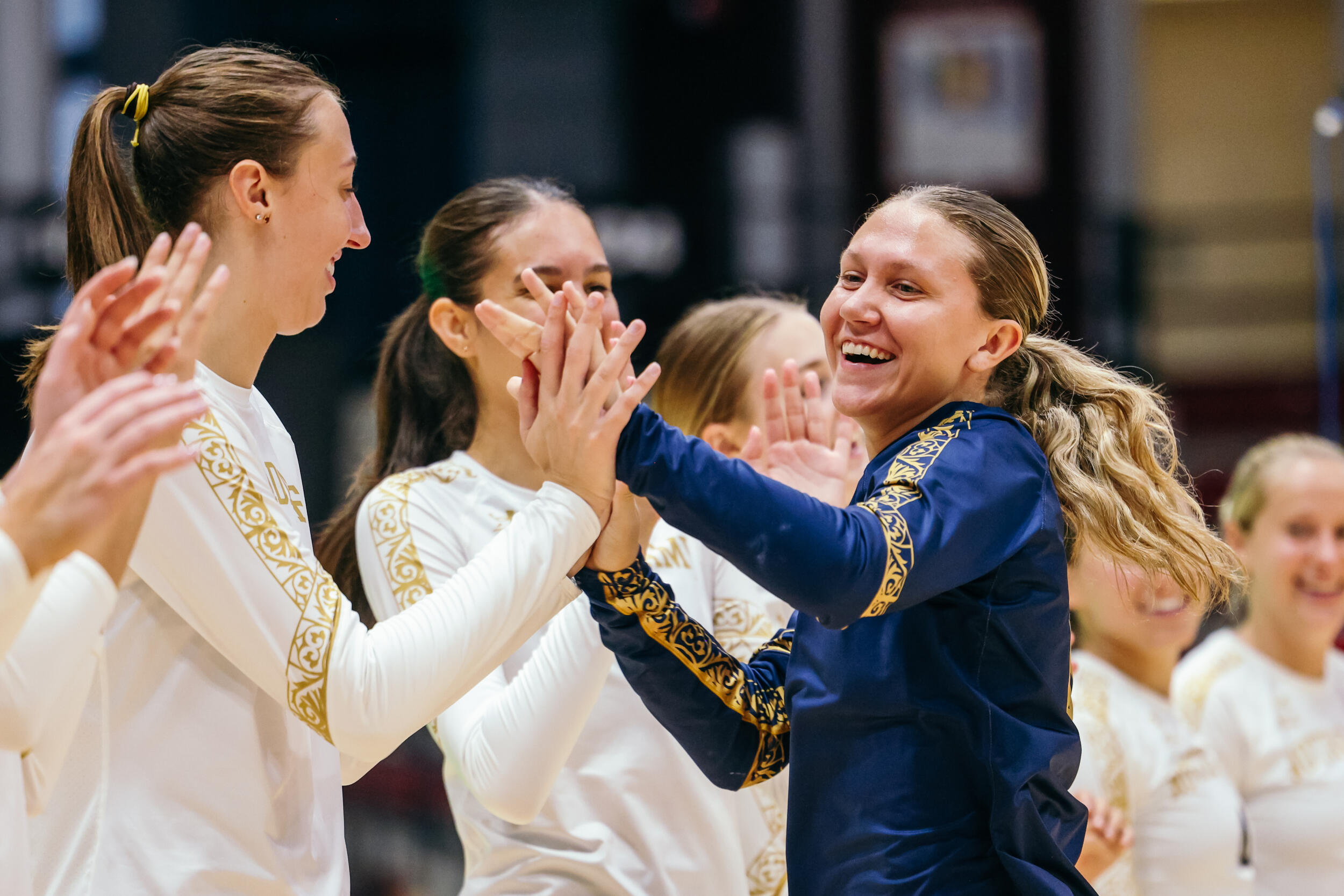 Irish Volleyball Starts The 2024 Season 2-0 – Notre Dame Fighting Irish ...